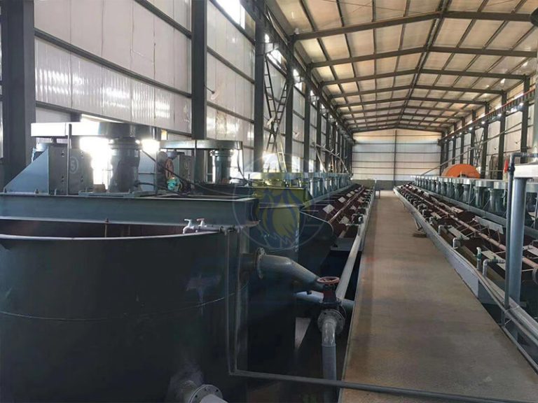 Flotation machine for separating minerals